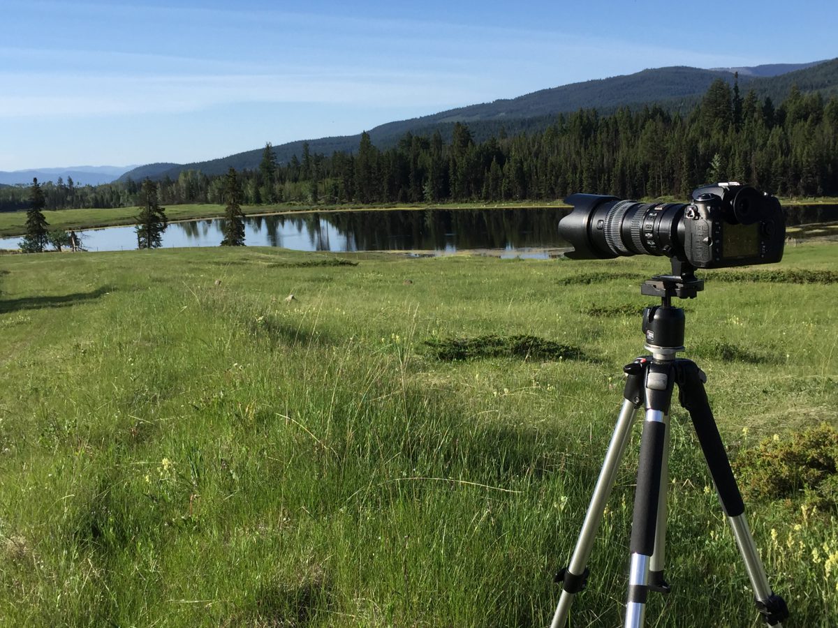 How to use camera with tripod - Learn About Digital Photography